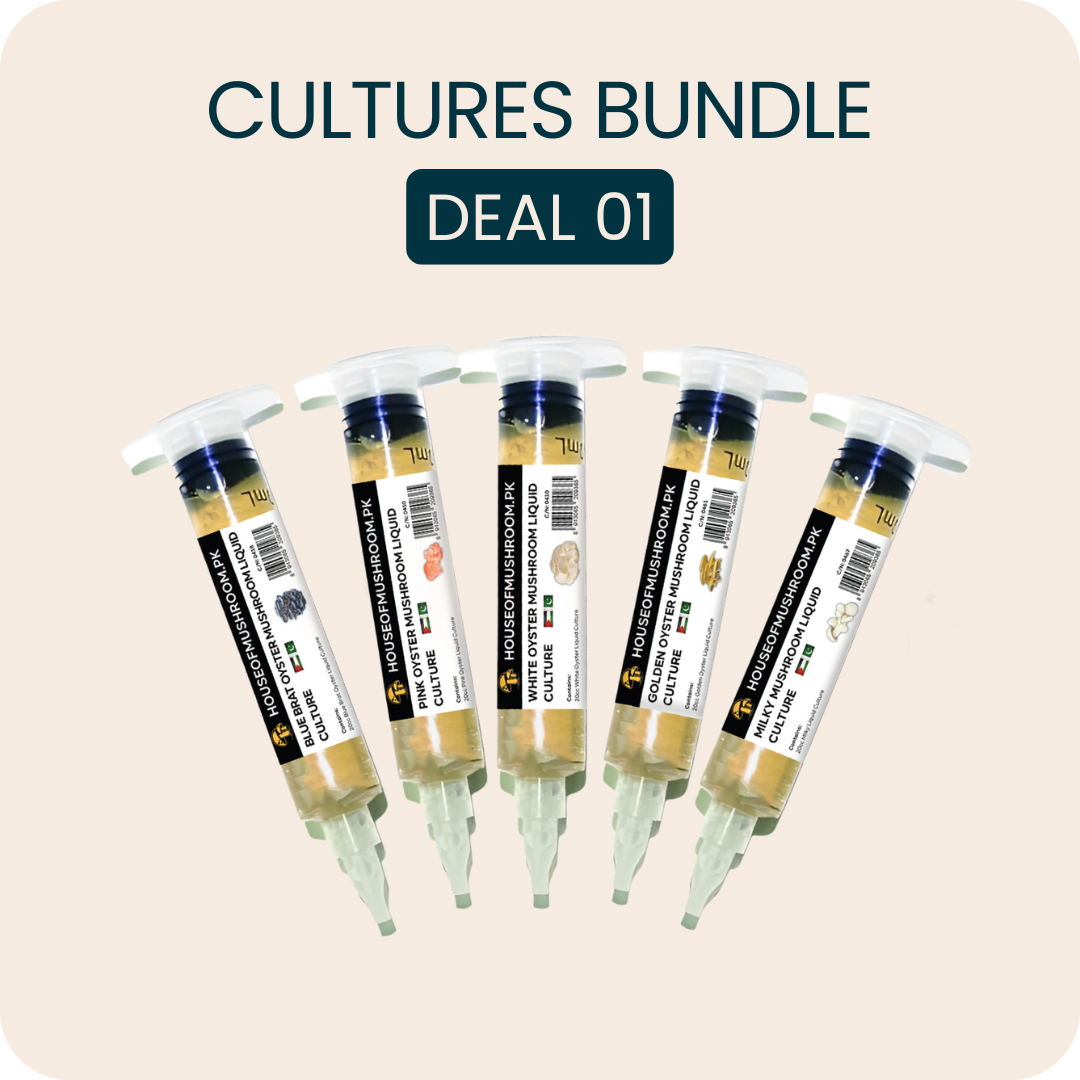 Starter-Kit 5 Liquid Culture Mushroom Syringes – House of Mushroom