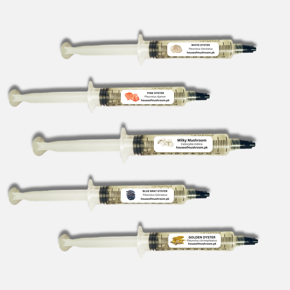 Liquid Culture Syringes - House of Mushroom